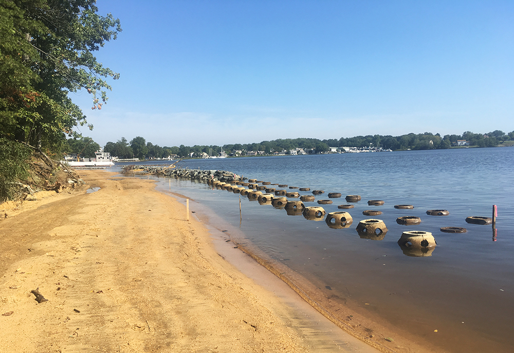 Designing One of The First Living Shorelines in Maryland Using Reef ...