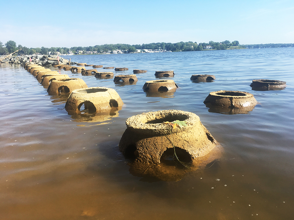 Designing One of The First Living Shorelines in Maryland Using Reef ...