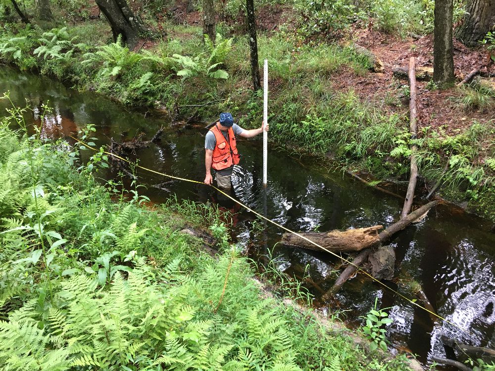 Coldwater Branch Stream Mitigation Site - Ecosystem Planning ...