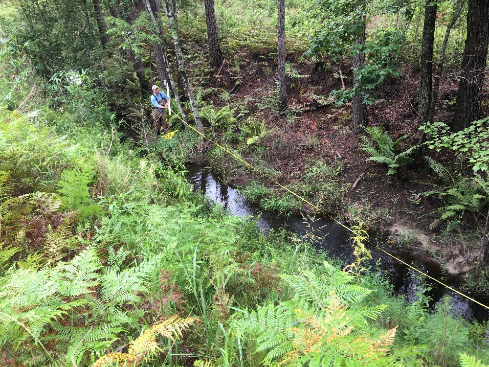 Coldwater Branch Stream Mitigation Site - Ecosystem Planning ...
