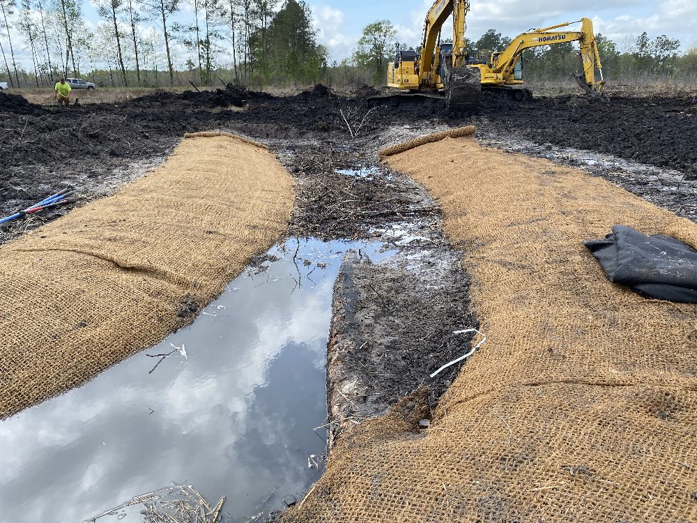 Coldwater Branch Stream Mitigation Site - Ecosystem Planning ...
