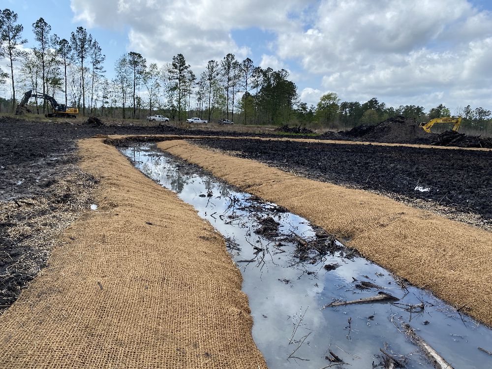 Coldwater Branch Stream Mitigation Site - Ecosystem Planning ...