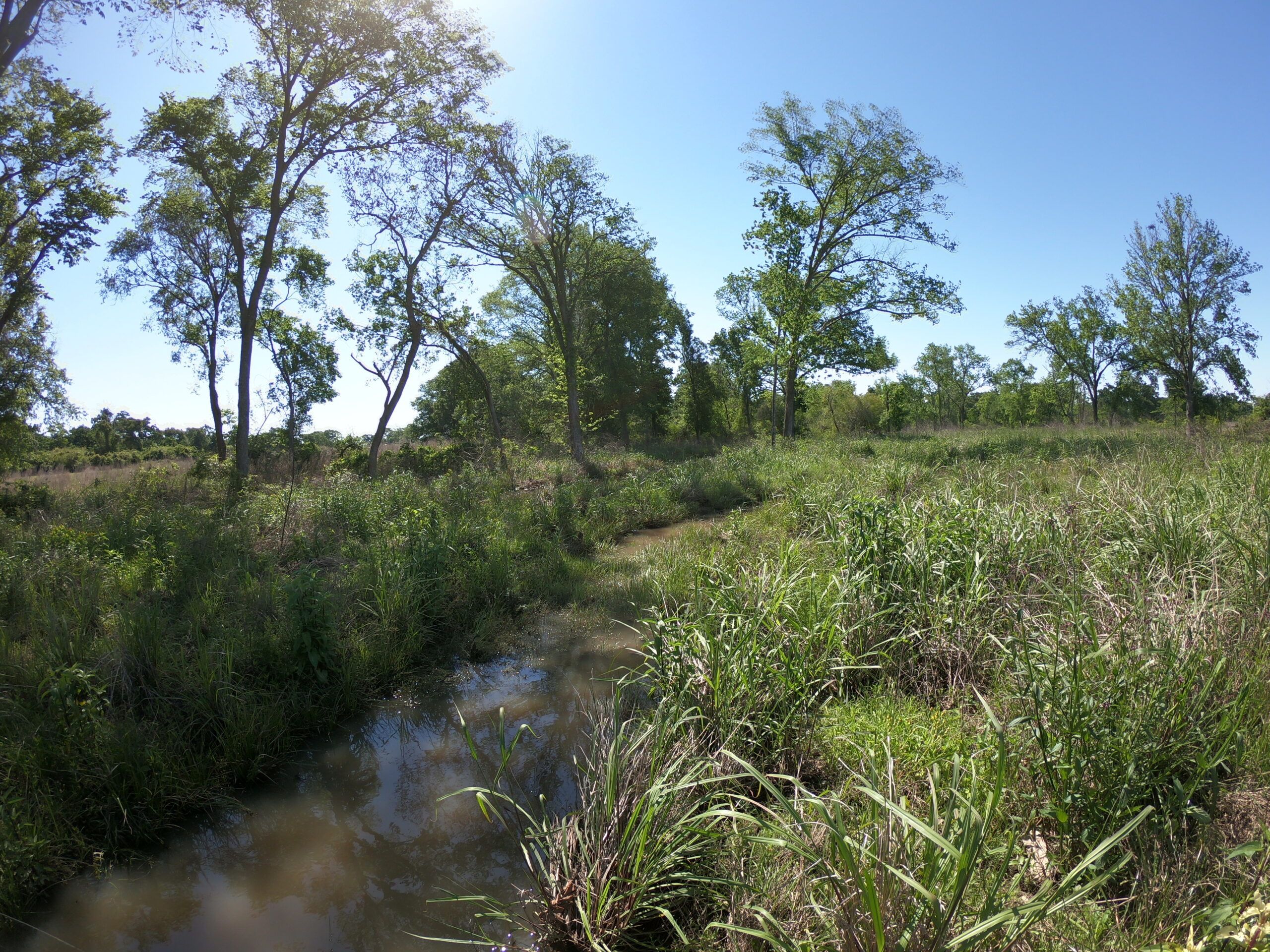 Spring Creek Stream and Wetland Mitigation Site - Ecosystem Planning ...