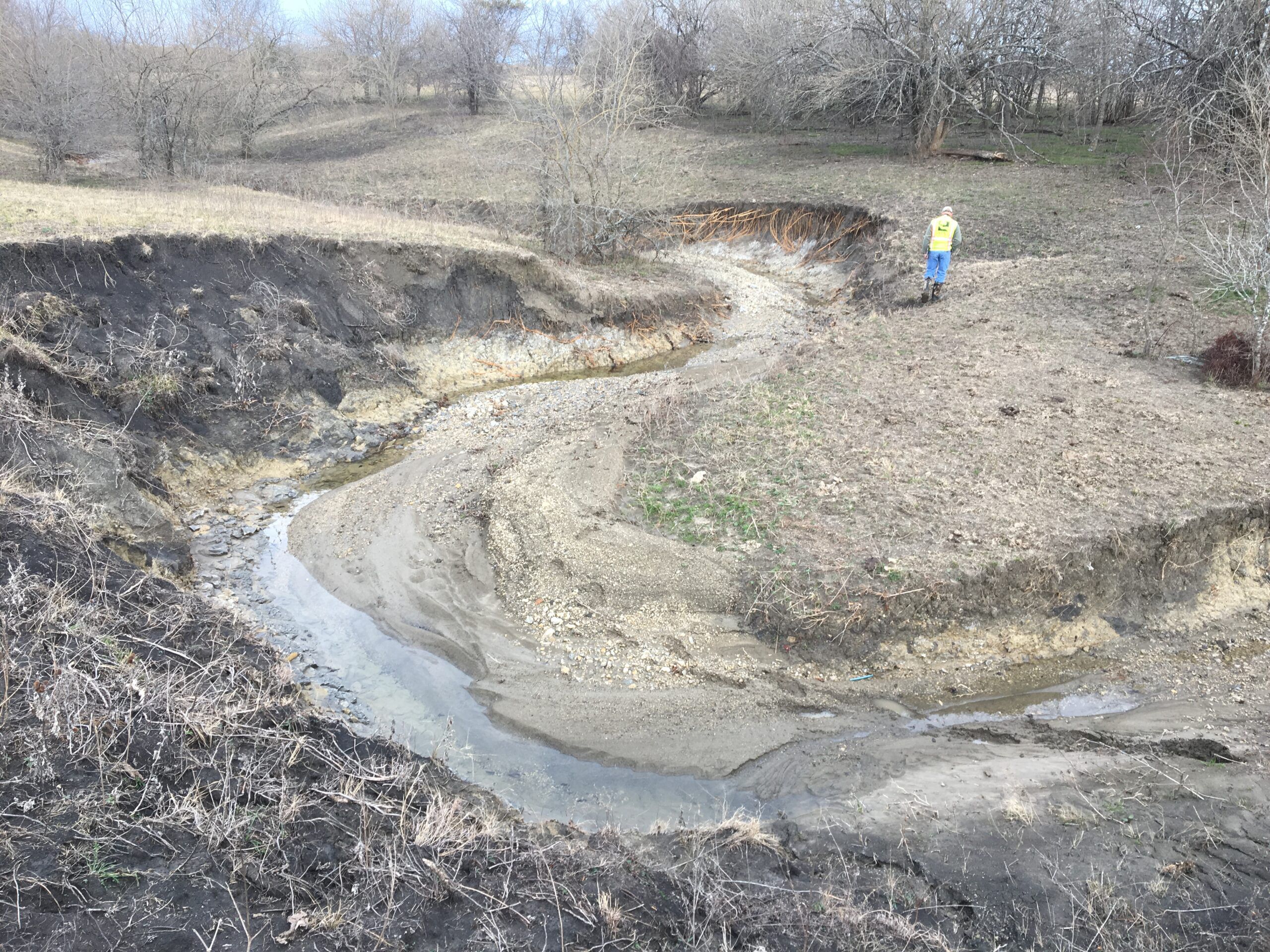 Lake Ralph Hall Mitigation - Ecosystem Planning & Restoration Ecosystem ...