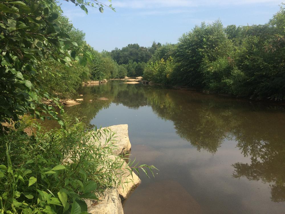 Ararat River Restoration, Greenway, and Parks - Ecosystem Planning ...