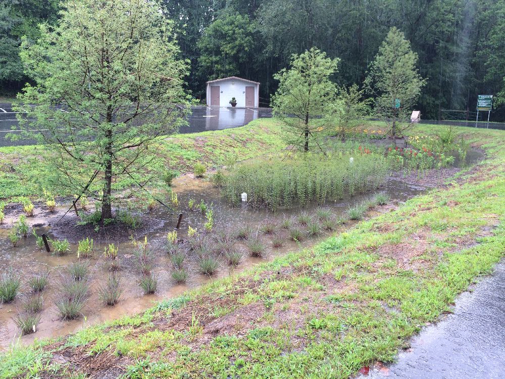 Ararat River Restoration, Greenway, and Parks - Ecosystem Planning ...