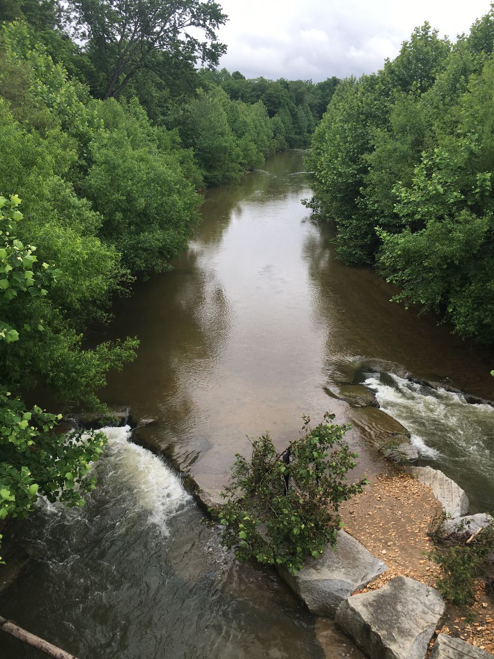 Ararat River Restoration, Greenway, and Parks - Ecosystem Planning ...