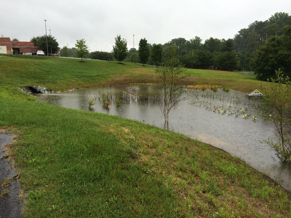 Ararat River Restoration, Greenway, and Parks - Ecosystem Planning ...