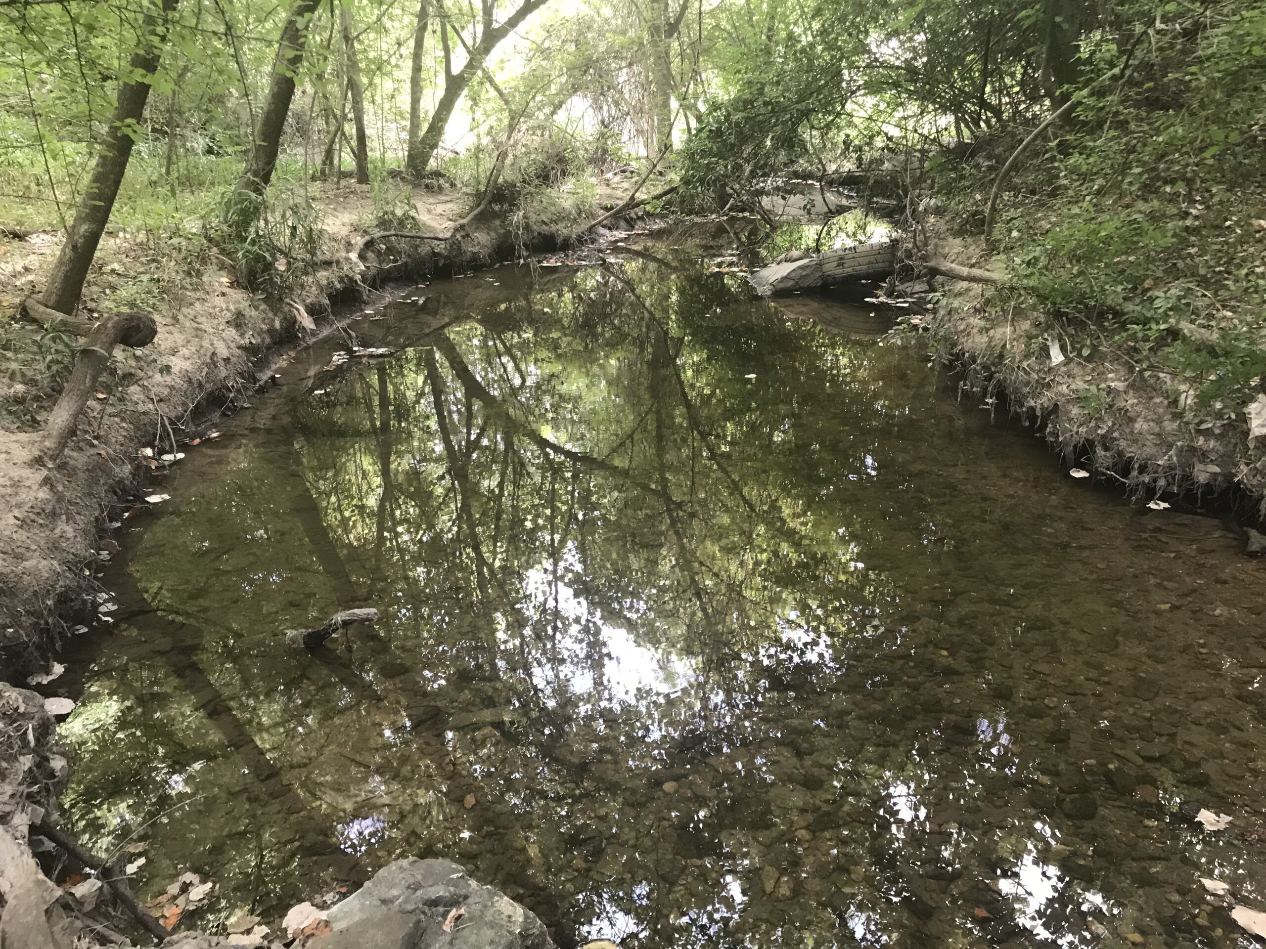 Piedras Creek Restoration - Ecosystem Planning & Restoration Ecosystem ...