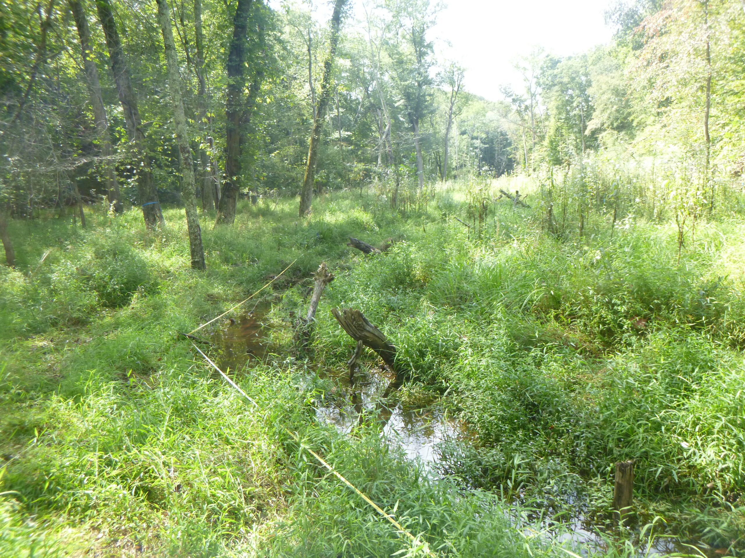 Heritage Harbour - Ecosystem Planning & Restoration Ecosystem Planning ...