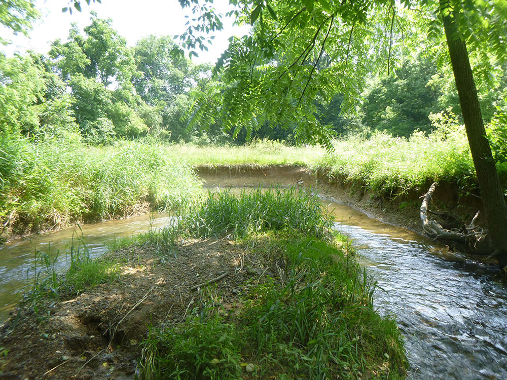 Bush Creek - Ecosystem Planning & Restoration Ecosystem Planning ...