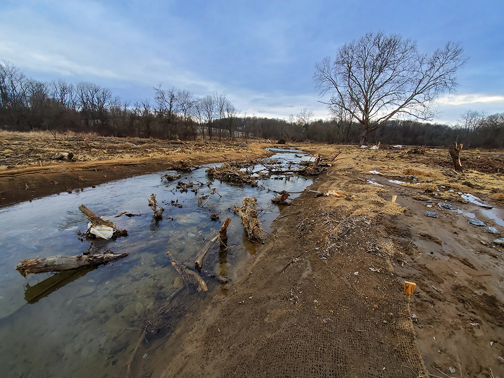 Bush Creek - Ecosystem Planning & Restoration Ecosystem Planning ...