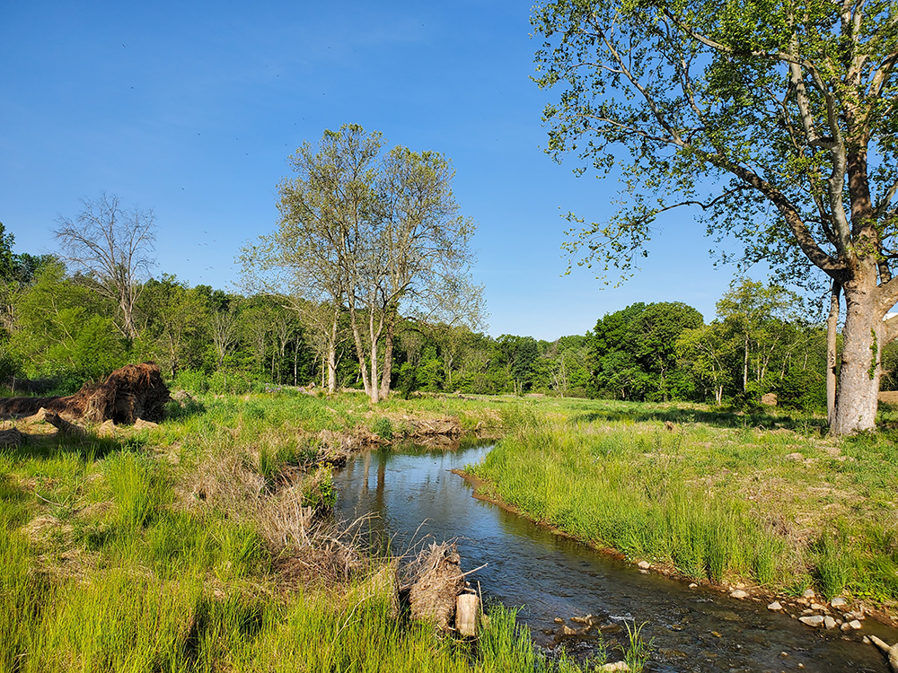 Bush Creek - Ecosystem Planning & Restoration Ecosystem Planning ...