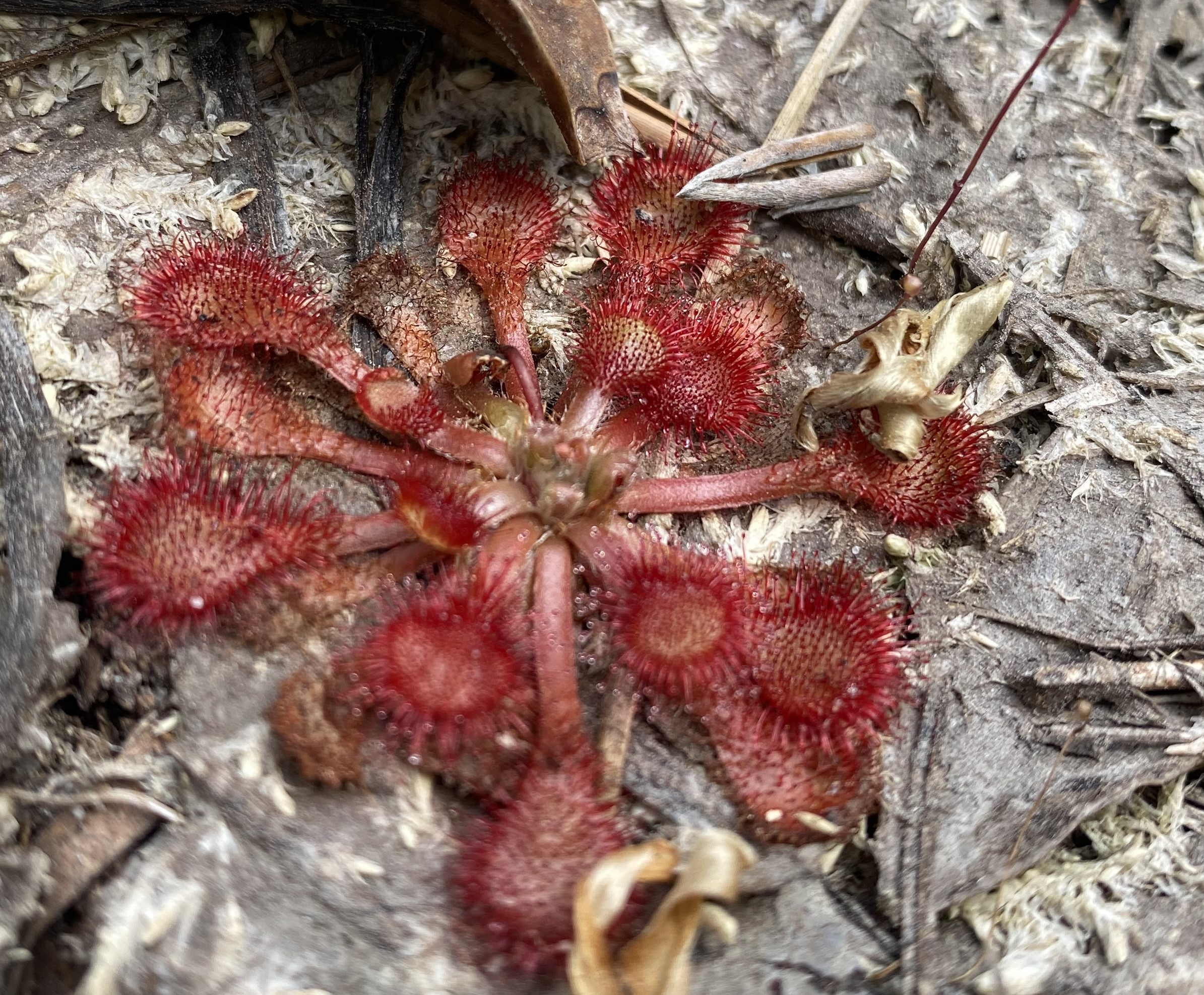 Beane Wetland Mitigation - Ecosystem Planning & Restoration Ecosystem ...