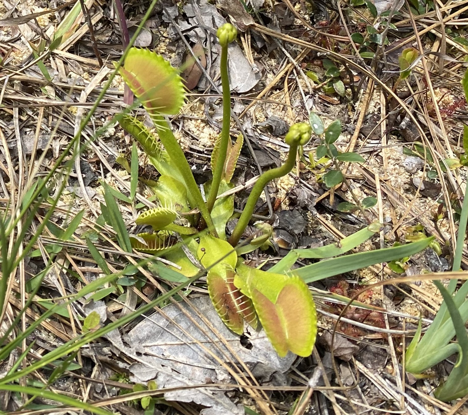 Beane Wetland Mitigation - Ecosystem Planning & Restoration Ecosystem ...