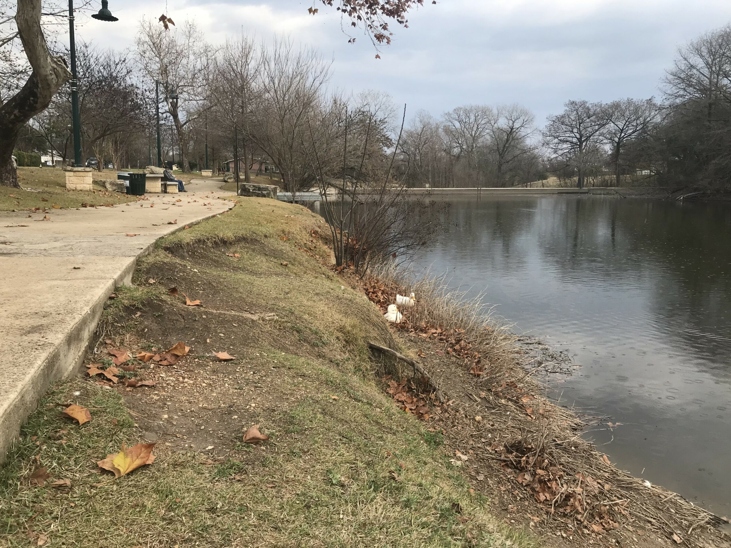 Boerne River Road Park Bank Stabilization - Ecosystem Planning ...