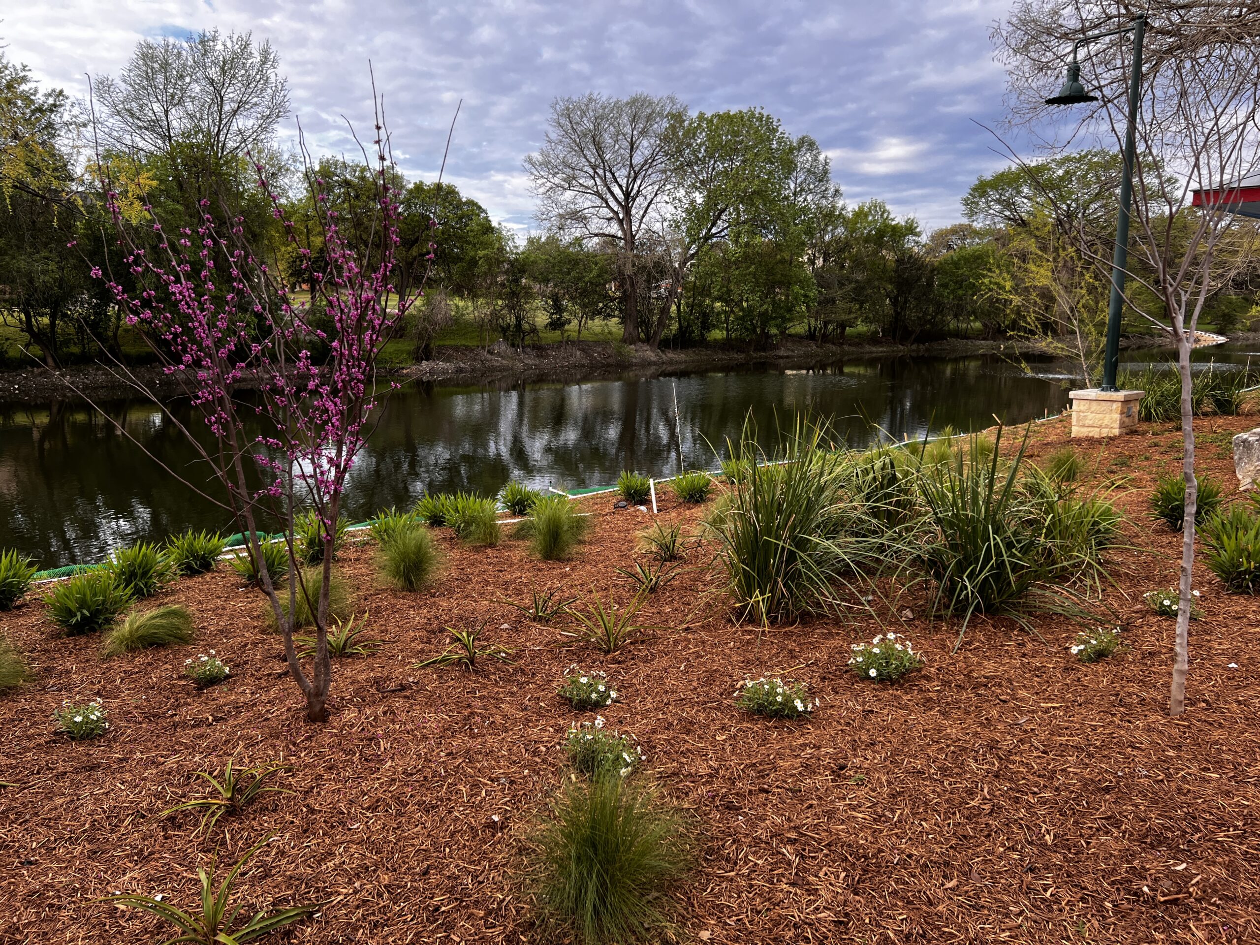 Boerne River Road Park Bank Stabilization - Ecosystem Planning ...